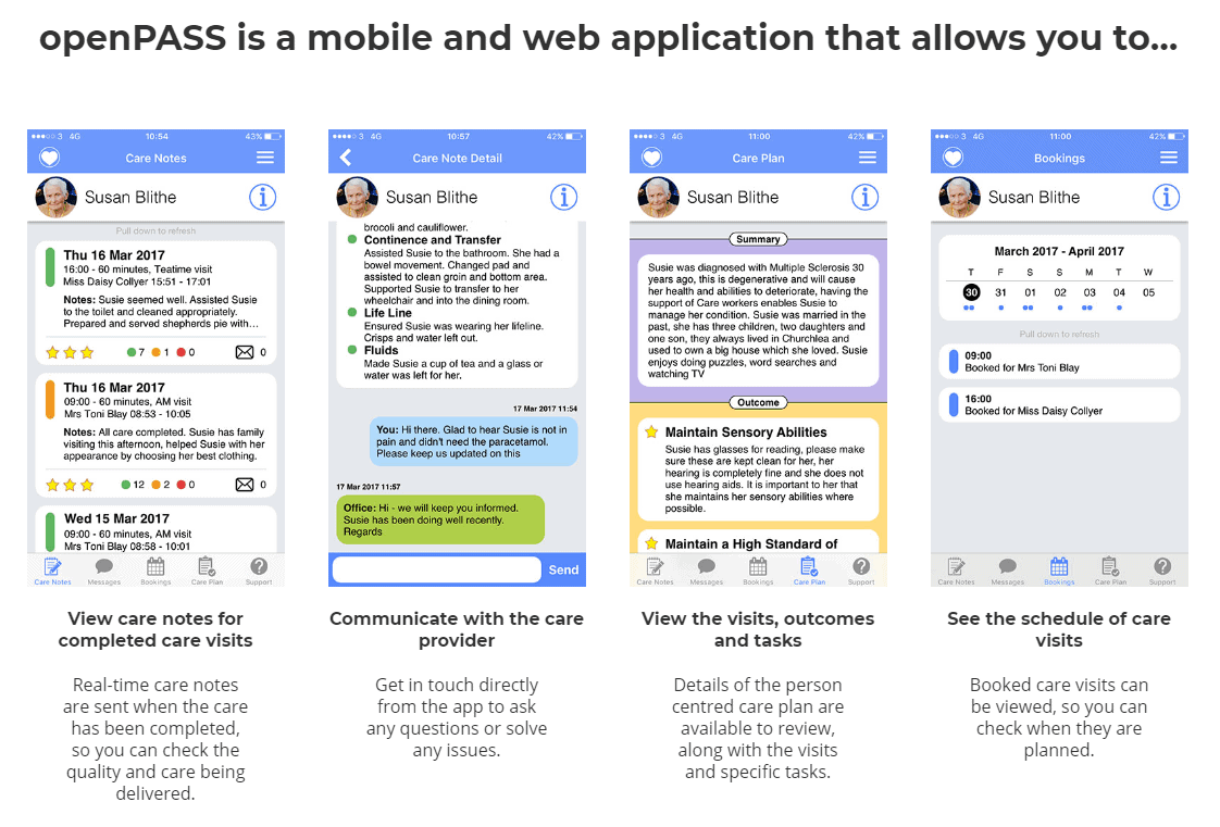 OpenPASS System - Care Wyvern
